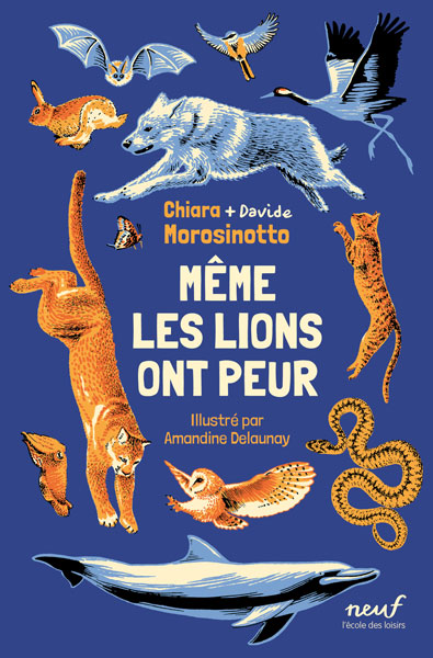 Même les lions ont peur | L’école des loisirs, Maison d’Édition Jeunesse